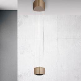 Paul Neuhaus LED-Pendelleuchte Q-Stretto, bronze, 14,5cm