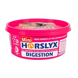 HORSLYX Leckschale Mini 650 g