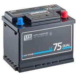 ECTIVE LC 75 Dual Versorgungsbatterie 75Ah 12V 960Wh 825A