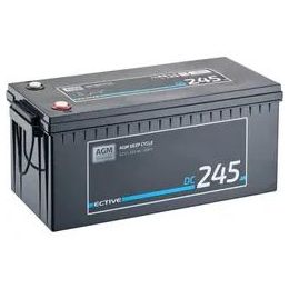 ECTIVE DC 245 AGM Deep Cycle 245Ah Versorgungsbatterie