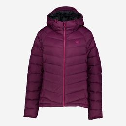 Dare 2b Dunkelviolette Pufferjacke