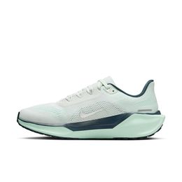 Nike Sneakers 'Pegasus 41' female Grey size 43
