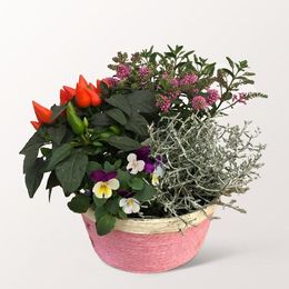 Herbstglück