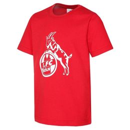 Fußballverein 1. FC Köln Shirt "T-Shirt Basic" in Rot | Gr.: 98/104