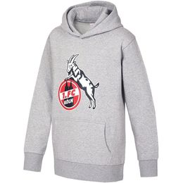 Fu&szlig;ballverein 1. FC K&ouml;ln Kinder Hoodie "Hoodie Basic" in Grau | Gr.: 164