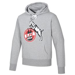 Fußballverein 1. FC Köln Hoodie "Hoodie Basic" in Grau | Gr.: S