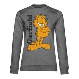 GARFIELD Pullover in Grau | Gr.: XXL