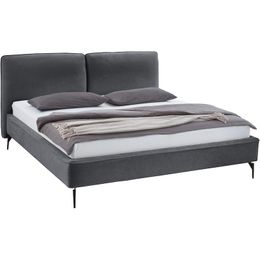 Meise Möbel MEISE.MÖBEL Polsterbett »Infinity erhältlich in verschiedenen Farben und Breiten« mit schwarzen Metallfüßen grau Liegefläche Länge Breite: 200 cm...