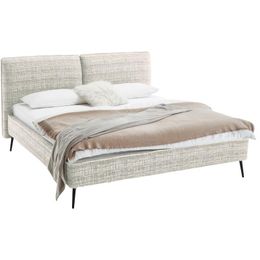 Meise Möbel MEISE.MÖBEL Polsterbett »Infinity erhältlich in verschiedenen Farben und Breiten« mit schwarzen Metallfüßen fog Liegefläche Länge Breite: 200 cm...