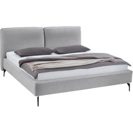 Meise Möbel MEISE.MÖBEL Polsterbett »Infinity erhältlich in verschiedenen Farben und Breiten« mit schwarzen Metallfüßen dove Liegefläche Länge Breite: 200 cm...
