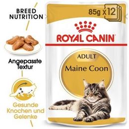 Royal Canin Maine Coon Adult in So&szlig;e 48x85 g