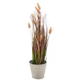 Kunstgras Creativ green "Grasbusch Lagurus", grün (grün, rosa), H:60cm Ø:14cm, Kunststoff, Kunstpflanzen, mit zarten Blüten