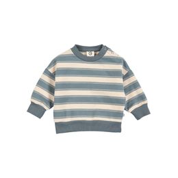 M&uuml;sli by GREEN COTTON M&uuml;sli By Green Cotton Sweatshirt Jungen Gr&ouml;&szlig;e 86 creme / taubenblau