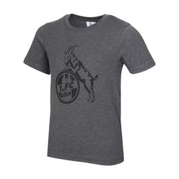 Fußballverein 1. FC Köln Shirt "T-Shirt Basic Anthrazit" in Grau | Gr.: 128