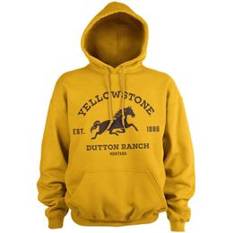 Yellowstone Hoodie in Gold | Gr.: XXL