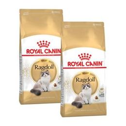 Royal Canin Ragdoll Adult 2x10 kg