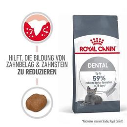 Royal Canin Dental Care 8 kg