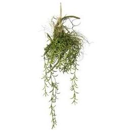 Kunstpflanze I.GE.A. "Tillandsia", grün, B:20cm H:72cm L:18cm, Obermaterial: 100% Kunststoff, Kunstpflanzen, Hänger auf Ast Künstlicher Moos Hängeampel Kunstpflanze