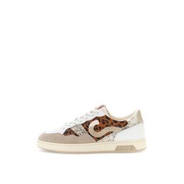 Caf&eacute; Noir CAF&egrave; NOIR Sneaker Damen Gr&ouml;&szlig;e 42 dunkelbeige / rostbraun / schwarz / wei&szlig;