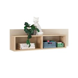 Wandboard Vito ASSUME