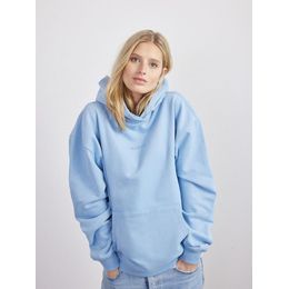 Bearth Sweatshirt 'Hoodie Bio-Baumwoll-Mix' female Blue size XXL