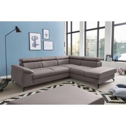 Ecksofa COTTA "Kitty L-Form, B: 249 cm", grau (elephant), B:249cm H:72cm T:207cm, Microfaser (100% Polyester);Flachgewebe (100% Polyester), Sofas, Ecksofa, mit Kopfteilverstellung, optional Bettfunktion & Bettkasten