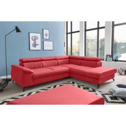 Ecksofa COTTA "Kitty L-Form, B: 249 cm", rot, B:249cm H:72cm T:207cm, Microfaser (100% Polyester);Flachgewebe (100% Polyester), Sofas, Ecksofa, mit Kopfteilverstellung, optional Bettfunktion & Bettkasten