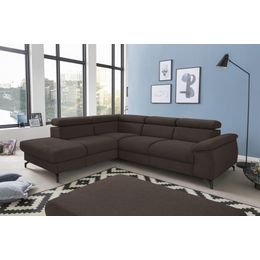 Ecksofa COTTA "Kitty L-Form, B: 249 cm", braun (espresso), B:249cm H:72cm T:207cm, Microfaser (100% Polyester);Flachgewebe (100% Polyester), Sofas, Ecksofa, mit Kopfteilverstellung, optional Bettfunktion & Bettkasten