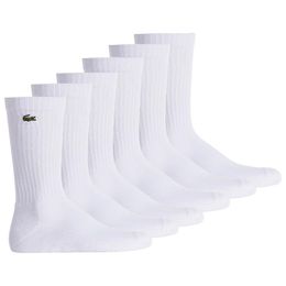 Lacoste Socks female White size 39-42