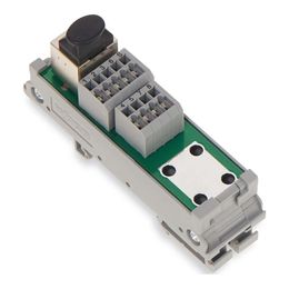 WAGO GmbH& Co. KG RJ-45 &Uuml;bergabemodul 289-175)