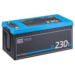 ECTIVE DC 230S AGM Deep Cycle mit LCD-Anzeige 230Ah Versorgungsbatterie
