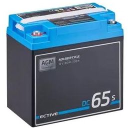 ECTIVE DC 65S AGM Deep Cycle mit LCD-Anzeige 65Ah Versorgungsbatterie