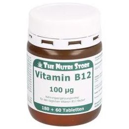 Hirundo Vitamin B12 100Ug 180 ST