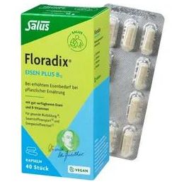 Salus Floradix Eisen Plus B12 Vegan 40 ST