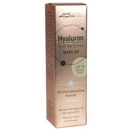 Dr. Theiss Naturwaren Hyaluron Teint Perfection Make Up Natural Ivory 30 ML