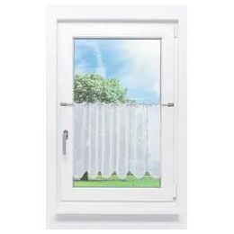 Scheibengardine Plauener Spitze - Federn " (Bx H) 210,6cm * 50cm" silbergrau/Grau
