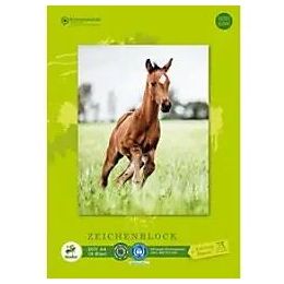 Staufen Dürer Green Zeichenblock DIN A4 18 Blatt 100 g/m2 4 Motive