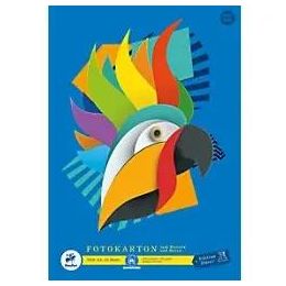HOHENSTAUFEN Staufen Dürer Green Fotokartonblock DIN A3 10 Blatt 300 g/m2 10 Farben Farbig sortiert