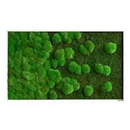 best of GREEN Mossbild 100 x 4 x 60 cm