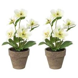 Winterliche Kunstpflanze CREATIV DECO "Weihnachtsdeko", weiß, H:28cm, Kunststoff, Polyester, Kunstpflanzen, 2er Set, inkl. Übertopf