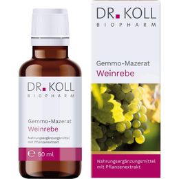 GEMMO-MAZERAT Weinrebe Dr.Koll Vitis vinifera Tro. 50 ml