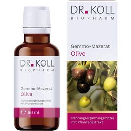 GEMMO-MAZERAT Olive Dr.Koll Olea europaea Tropfen 50 ml