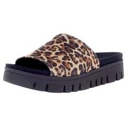 Pantolette Gabor COMFORT "Gabor Comfort Pantoletten Leder", Damen, Gr. 39, leopard, Leder, Schuhe