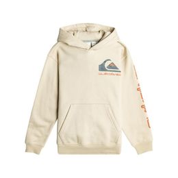 Quiksilver Kapuzensweatshirt »Omni Logo« weiß 12 12 Stoff: Baumwoll-Polyester-Mischgewebe [280...