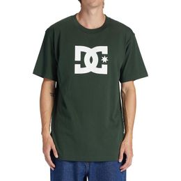 DC Shoes T-Shirt »DC Star« Sycamore S S Stoff: Baumwoll-Jersey