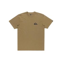 Quiksilver T-Shirt »Ev Mini Logo 2024« Aloe M M Stoff: Baumwoll-Jersey-Stoff [160 g/m2]