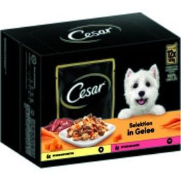 CESAR Multipack in Gelee mit Huhn Karotten Rind und Gem&uuml;se 4x12x100g