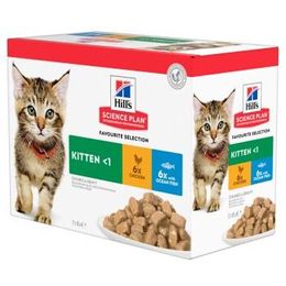 Hill's Hill's Science Plan Kitten Multipack Fisch und Huhn 24x85 g