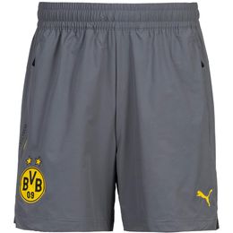 Puma Workout Pants 'Borussia Dortmund' male Grey size XL