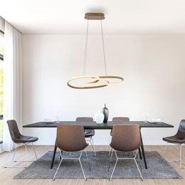 Paul Neuhaus Twist Pendelleuchte, LED, 2764-39,